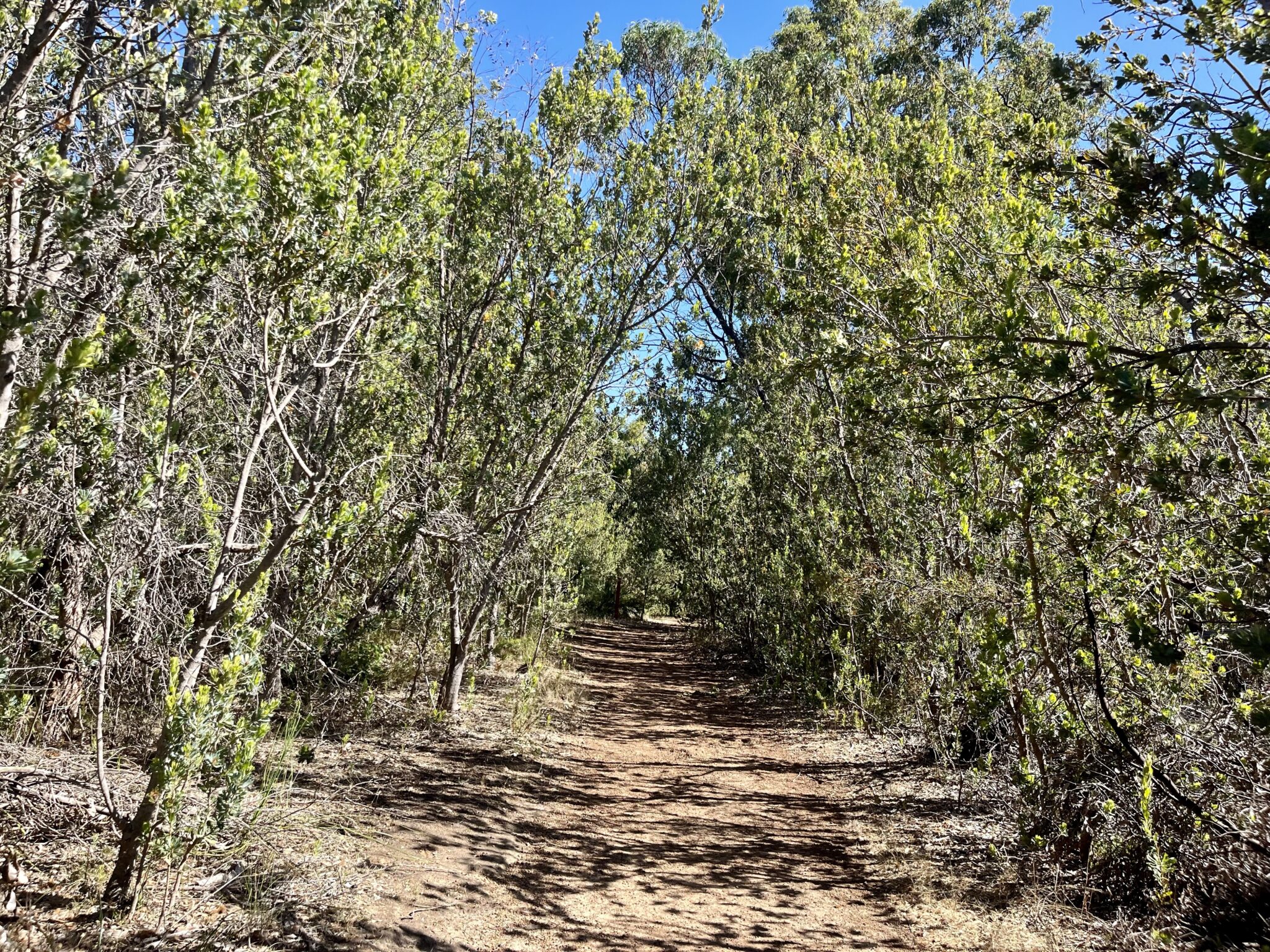 【Kalamunda to Perth Hills Discovery Center】 via Bibbulmun Track